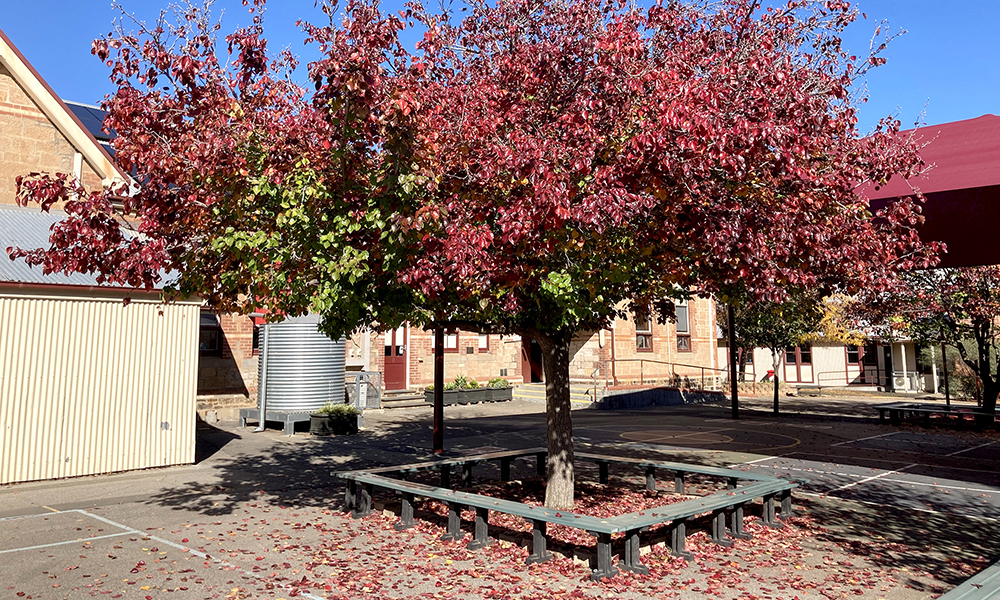 Welcome to our Website! - Parkside Primary School